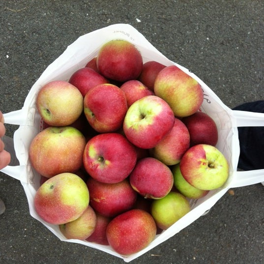 Dr. Davies Farm Stand - 7 tips