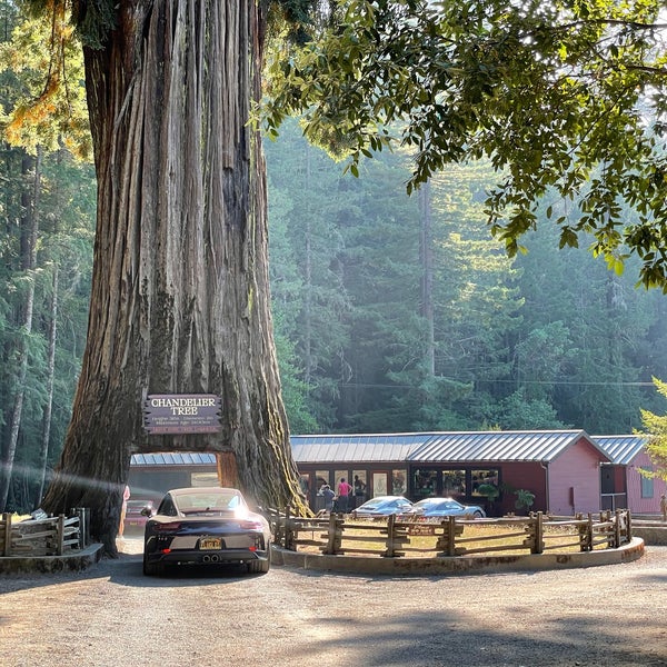 Drive-Thru Tree Park - 23 tips from 1210 visitors