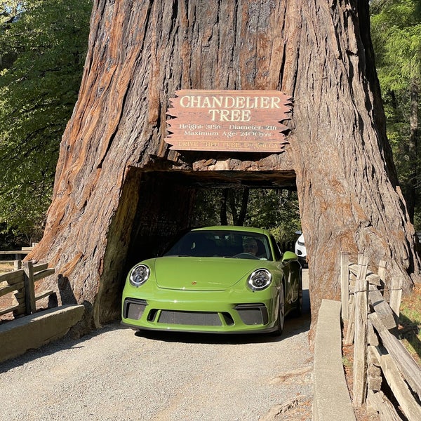 Drive-Thru Tree Park - 23 tips from 1210 visitors