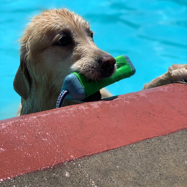 Spook Rock Pool - 181 Spook Rock Rd