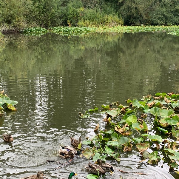 Photos at Robinswood Park - Park in Bellevue