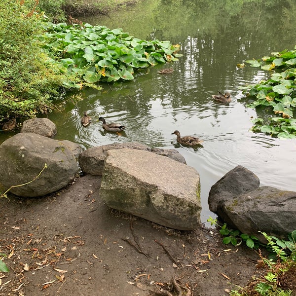 Photos at Robinswood Park - Park in Bellevue