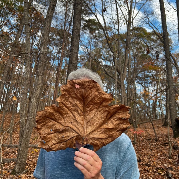 Elachee Nature Center - Hiking Trail in Gainesville