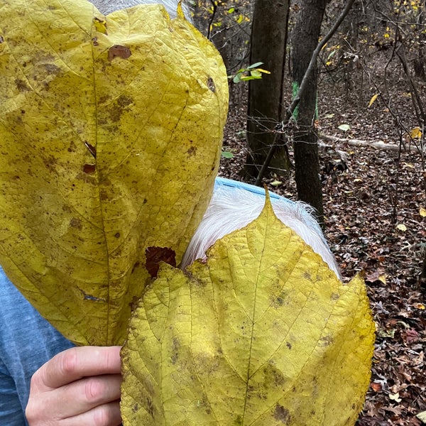 Elachee Nature Center - Hiking Trail in Gainesville