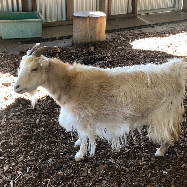 Photos at Symbio Wildlife Park - Zoo