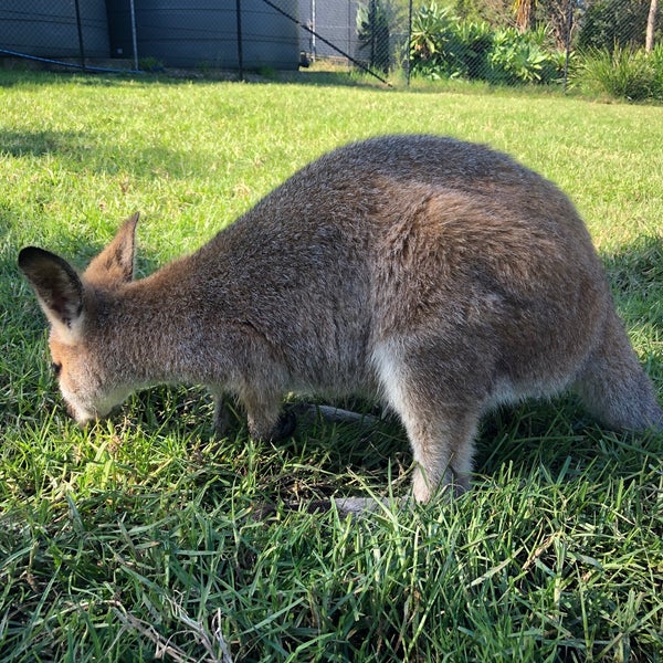 Photos at Symbio Wildlife Park - Zoo