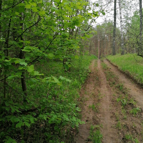 Ogres dabas parks "Zilie kalni" - Mountain