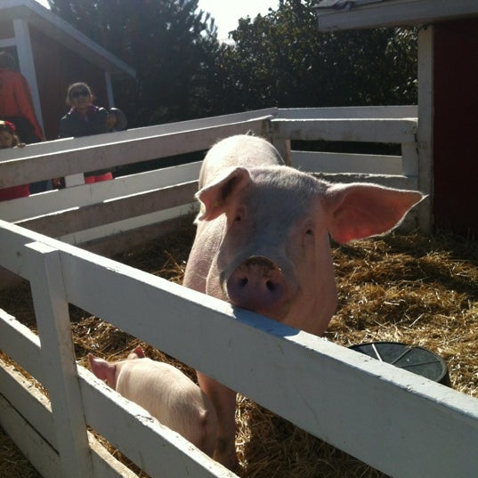 Photos at Goebbert's Farm & Garden Center - South Barrington, IL