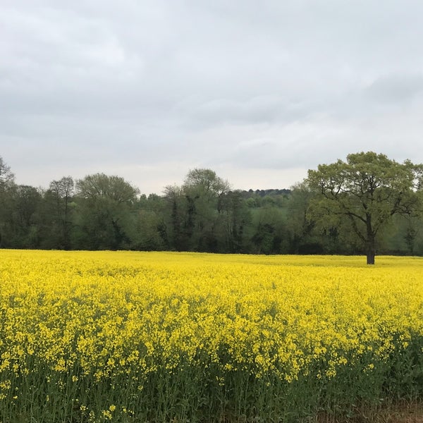 Sutton Coldfield - 1 tip