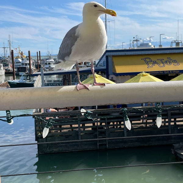 Pajo's Fish & Chips The Wharf - Steveston - 3500 Bayview St