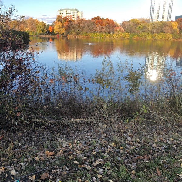 Normandale Lake Park - Lake in West Bloomington
