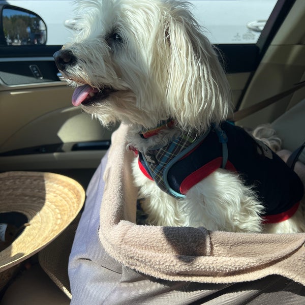 Kohl's - 15 tips from 1711 visitors