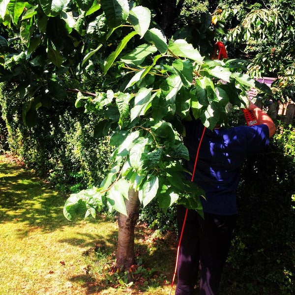 Newbold Quarry Park - Rugby, Warwickshire