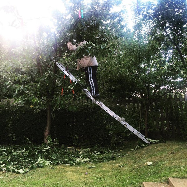 Newbold Quarry Park - Rugby, Warwickshire