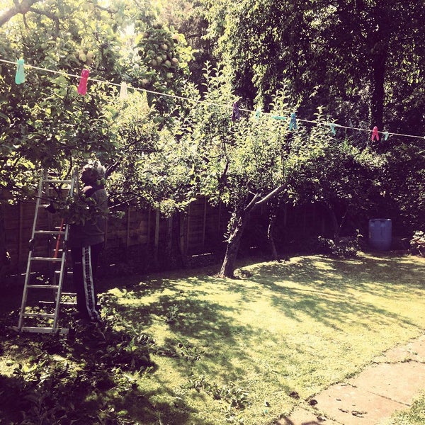 Newbold Quarry Park - Rugby, Warwickshire