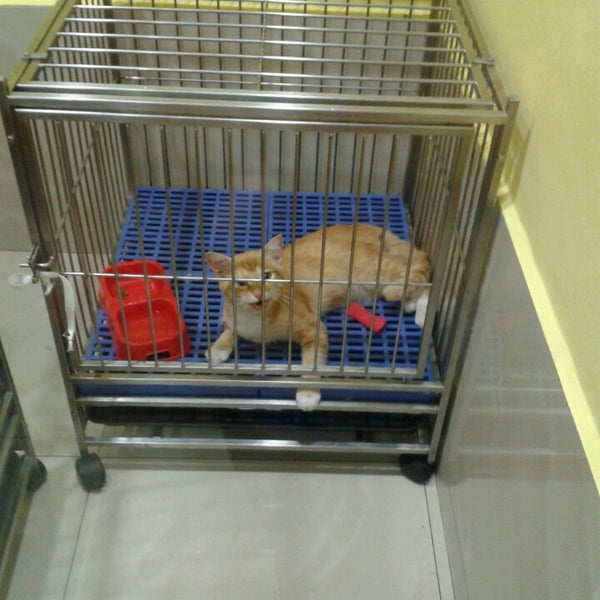 Photos at Gasing Veterinary Hospital - Veterinarian in Petaling Jaya