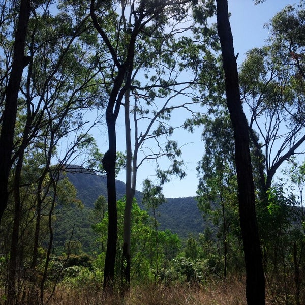 Mount Larcom Walking Trail - Targinie, QLD