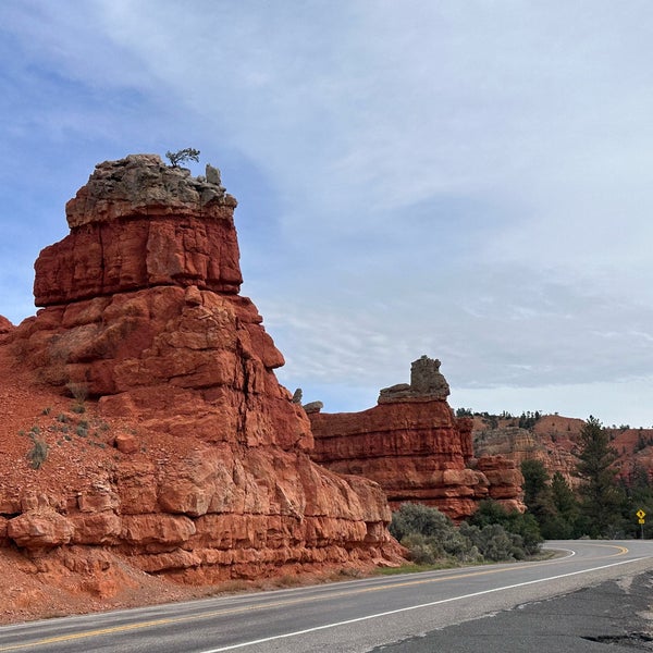 Red Canyon National Park - Bryce, UT