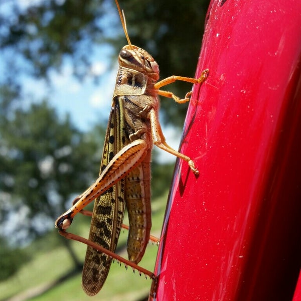 Anderson Snow Sports Complex (Soccer Side) - 4 tips