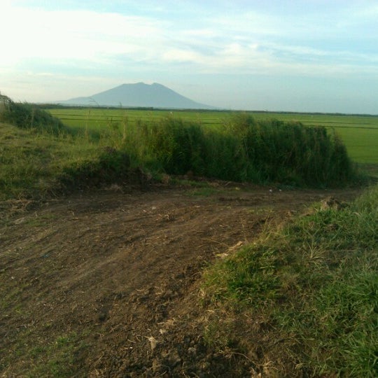 Candaba Bird Sanctuary - 1 tip from 27 visitors