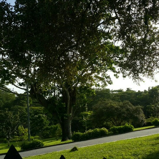 Photos at Palmiste Park - Park in Palmiste