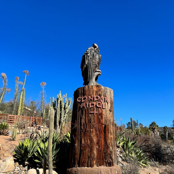 Condor Ridge - SDZ Safari Park - Zoo Exhibit in Escondido