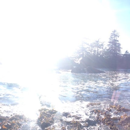 WYA Point Resort - 1 tip from 22 visitors