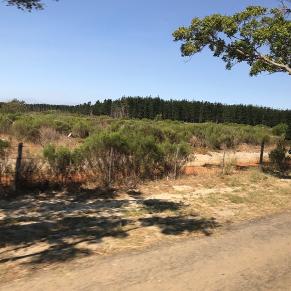 Silvermine - Trail in Cape Town