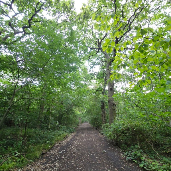 Oxleas Wood - 3 tips