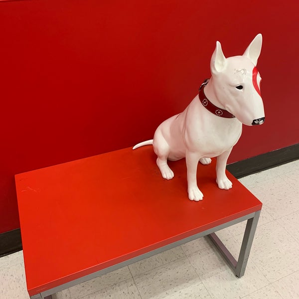 How Old Is Target Dog
