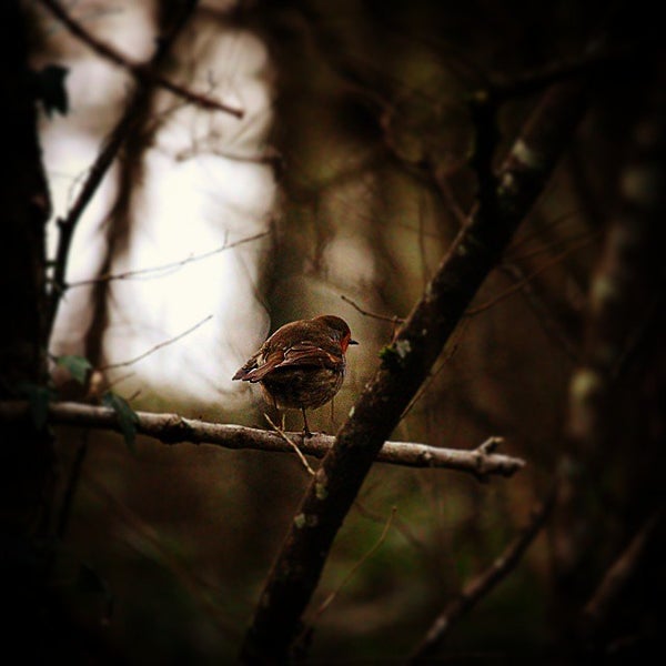 Donadea Forest Park - Donadea