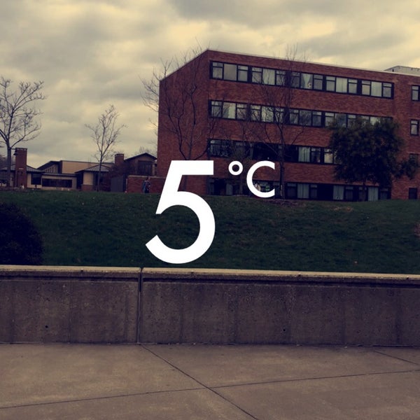 Bowman Hall - 13 tips from 788 visitors