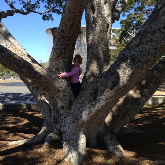Cathy Freeman Park Playground - Sydney Olympic Park, NSW