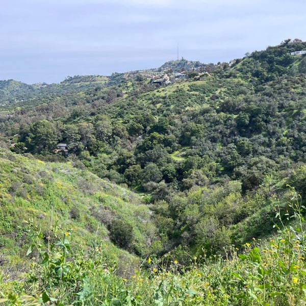 Wilacre Park - Betty B Dearing Trail