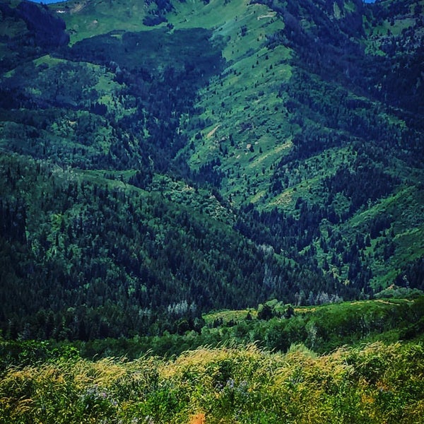 Payson Lakes Campground - Campground