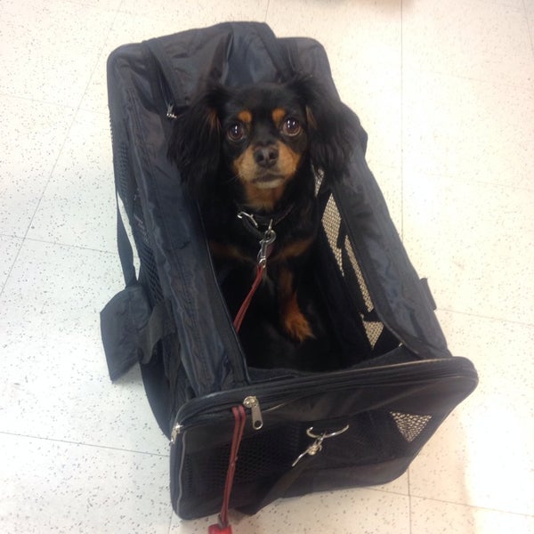 Faunatar - Arabianranta - Helsinki, Uusimaa