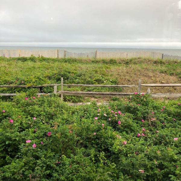 Popponesset Inn - 2 tips from 496 visitors