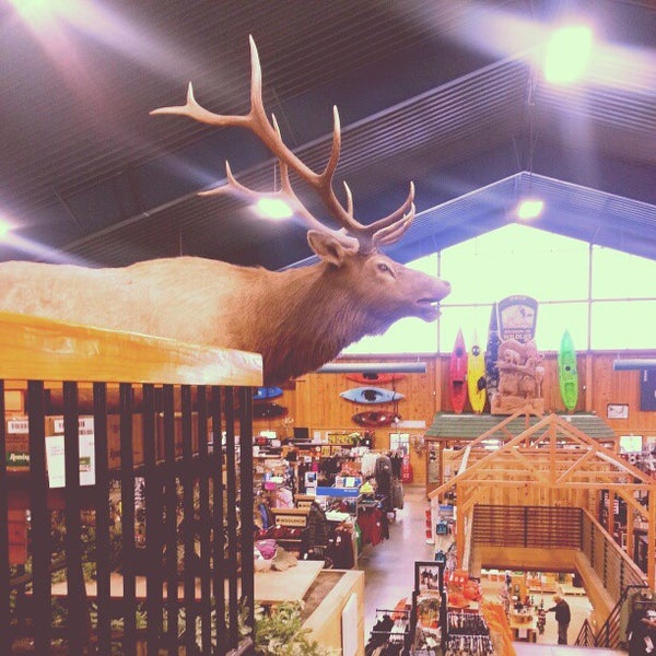 Photos at Fin Feather Fur Outfitters - Ashland, OH