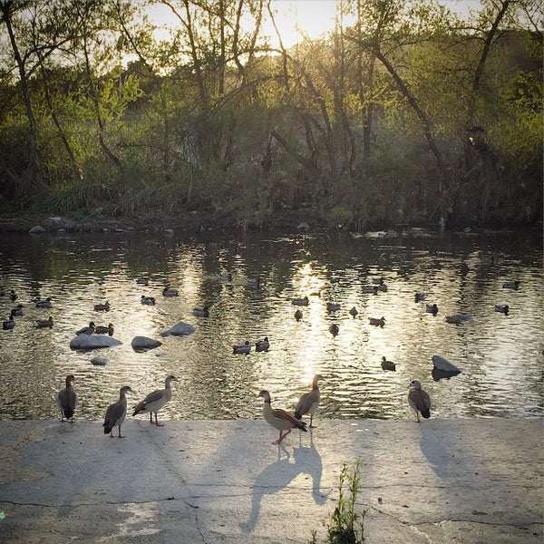 Los Angeles River Greenway Trail - Los Feliz - 2 tips from 72 visitors