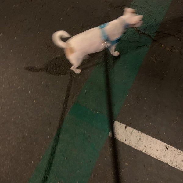 SDSU Bridge - San Diego, CA