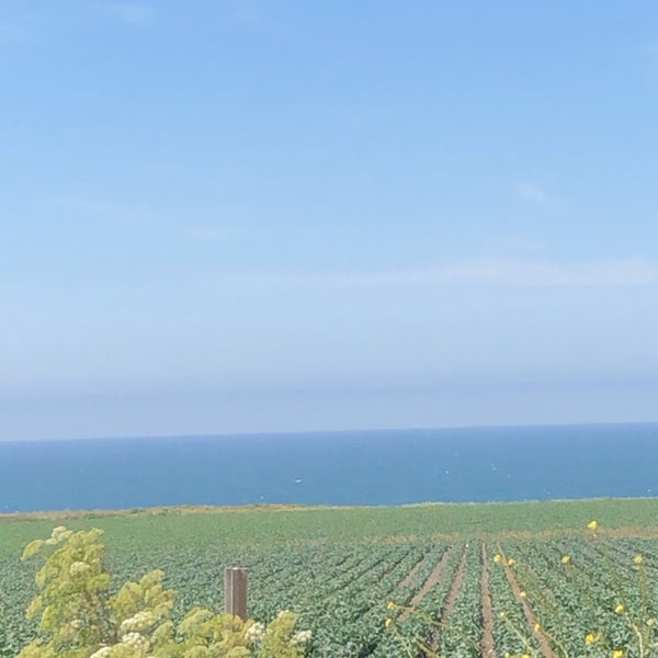 Rodoni Farms Pumpkin Patch - 80 visitors