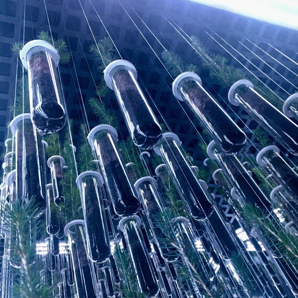 Lever Brothers soap factory - Factory in Toronto