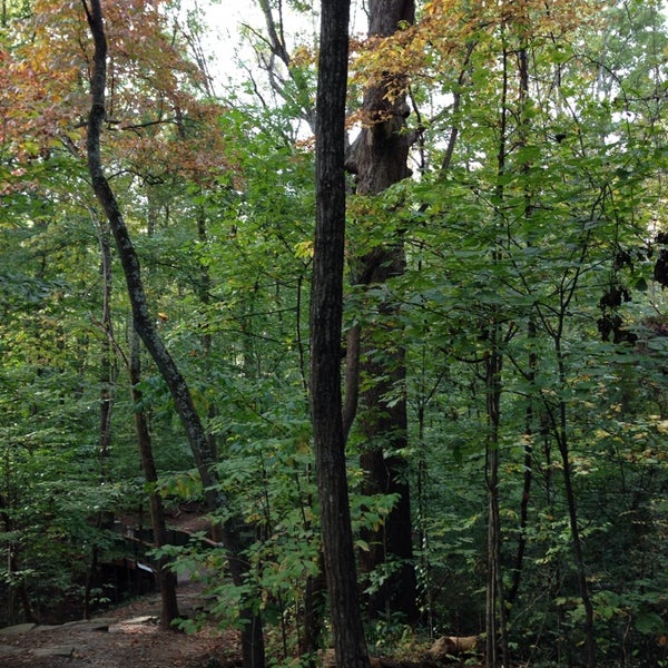 Photos at Deepdene Park - Park in Eastside