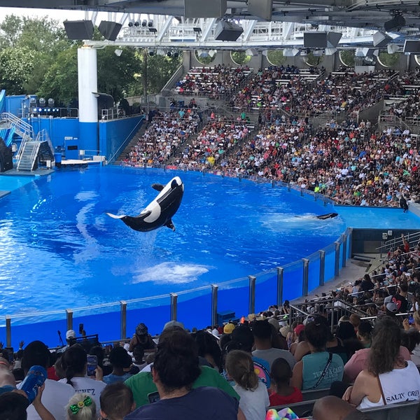 Photos at Shamu Stadium - Sea World Theme Park - SeaWorld