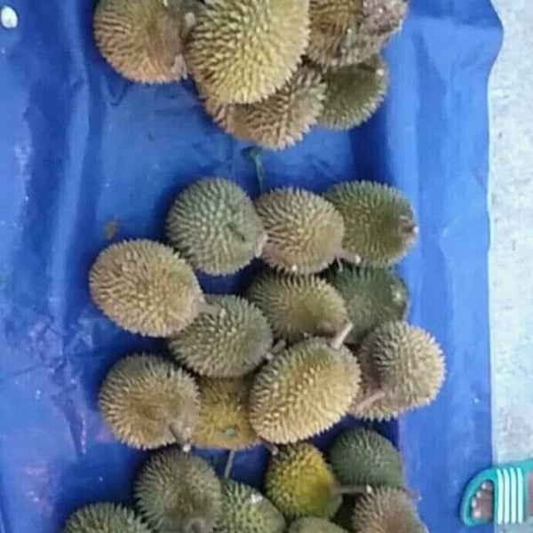 Pasar Lembang Ciledug - Miscellaneous Store