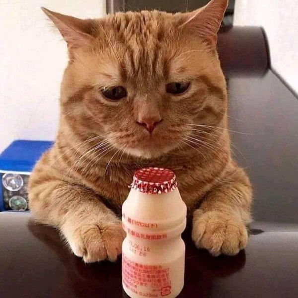 McDonald's - Fast Food Restaurant