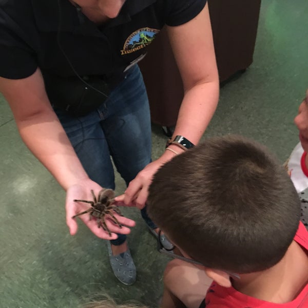 Insectropolis - 7 tips