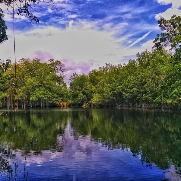 Black River Safari - Riverside Dock