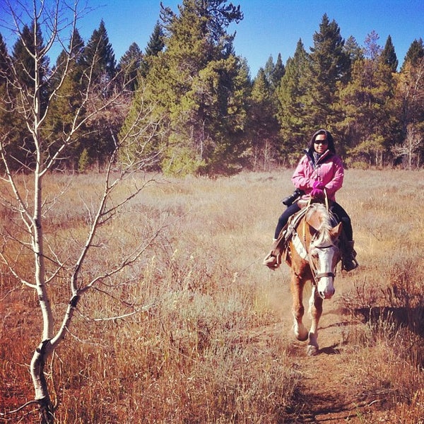 Eagle Ridge Ranch - Island Park, ID