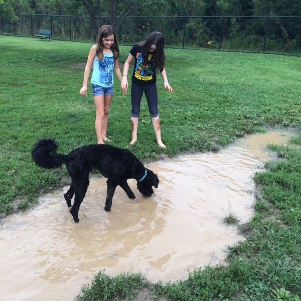 DuSable Dog Park - Saint Charles - 5 tips